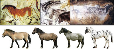Leopard horse: Fossils, phenotypes and genotypes | Lawnchair Anthropology