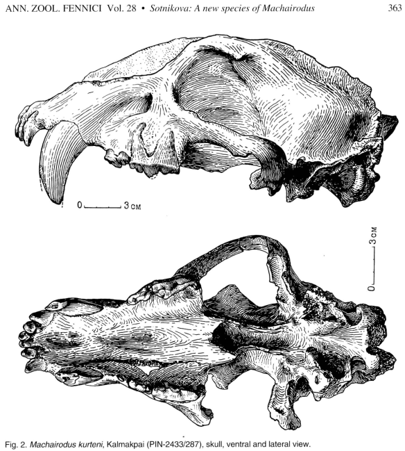 Kazakhstan’s killer cats | Lawnchair Anthropology