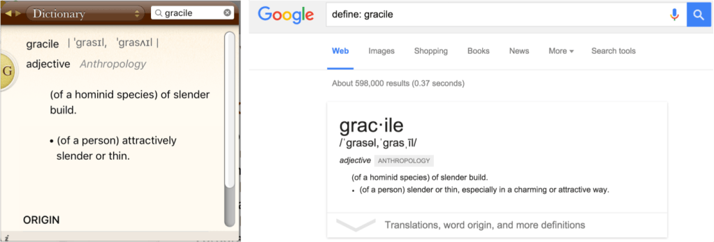 Gracile & robust Australopithecus | Lawnchair Anthropology