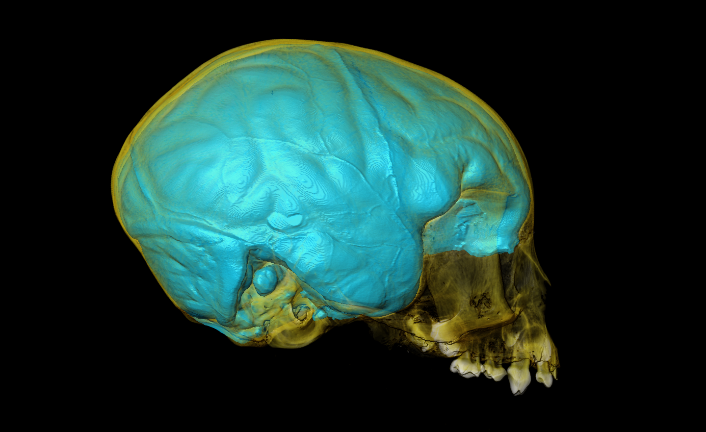 HEAD Lab | Lawnchair Anthropology